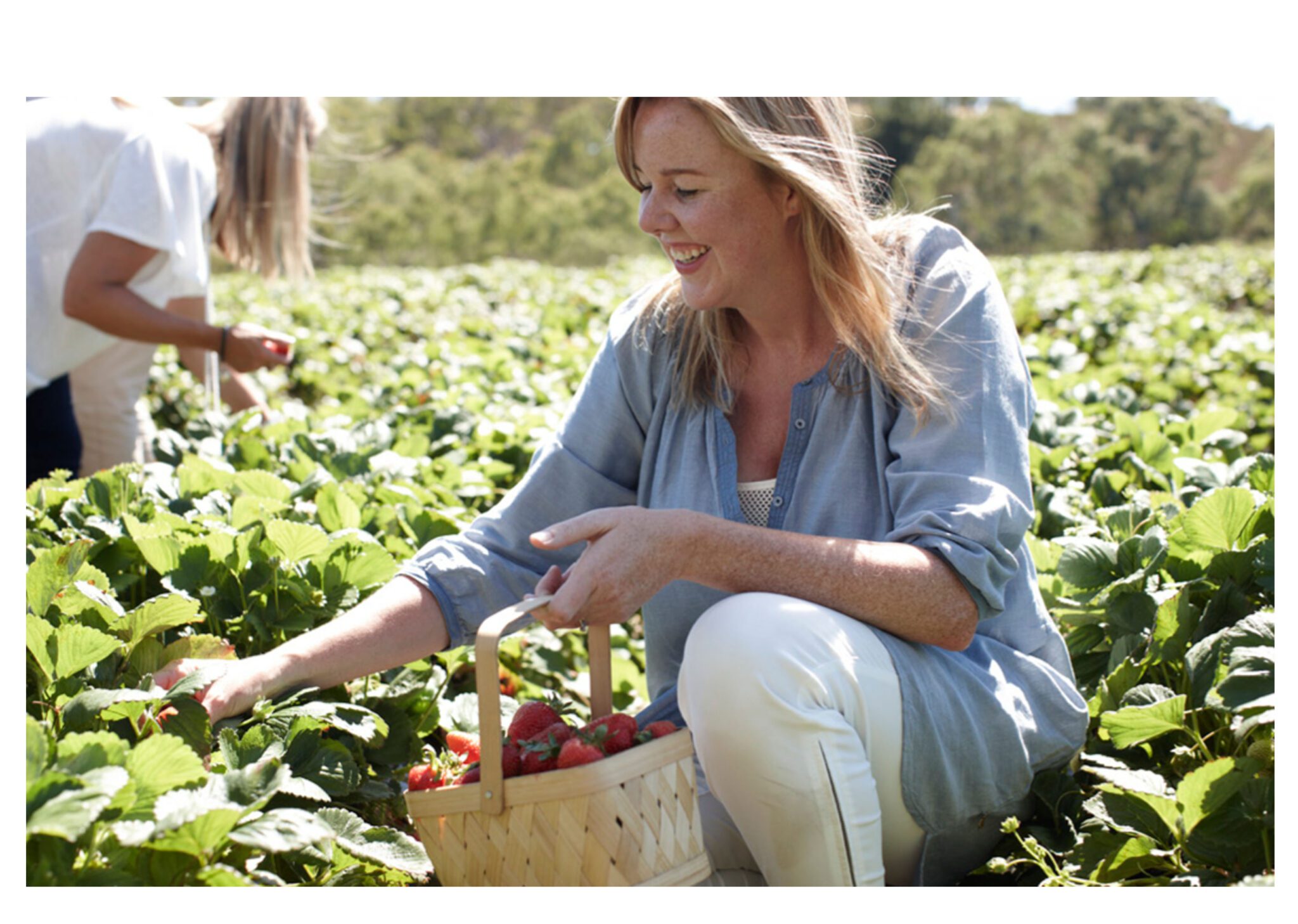 Dr George Ujvary, CEO of Olga's Fine Foods