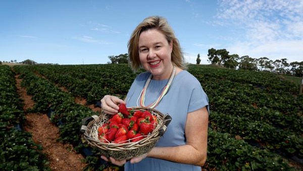 Sally Paech, Beerenberg Farm